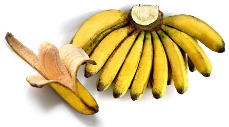 Jenis-Jenis Pisang Konsumsi dan Manfaatnya