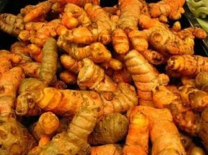 12 Jenis Tanaman Rimpang Dan Khasiatnya