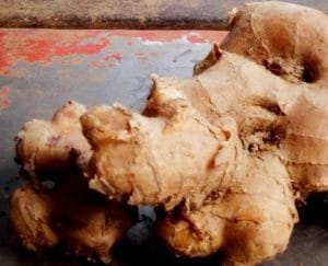 12 Jenis Tanaman Rimpang Dan Khasiatnya - Soal Petani