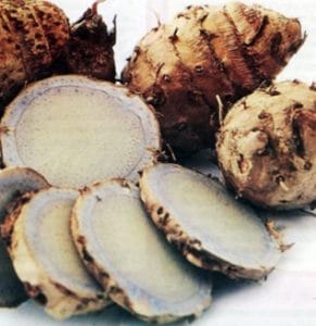 12 Jenis Tanaman Rimpang Dan Khasiatnya