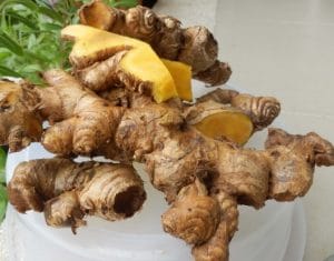 Mengenal Jenis Tanaman Rempah d Indonesia serta Manfaat dan Kegunaannya