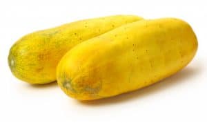 Mentimun - Pengertian, Klasifikasi, Jenis Dan Manfaat Mentimun